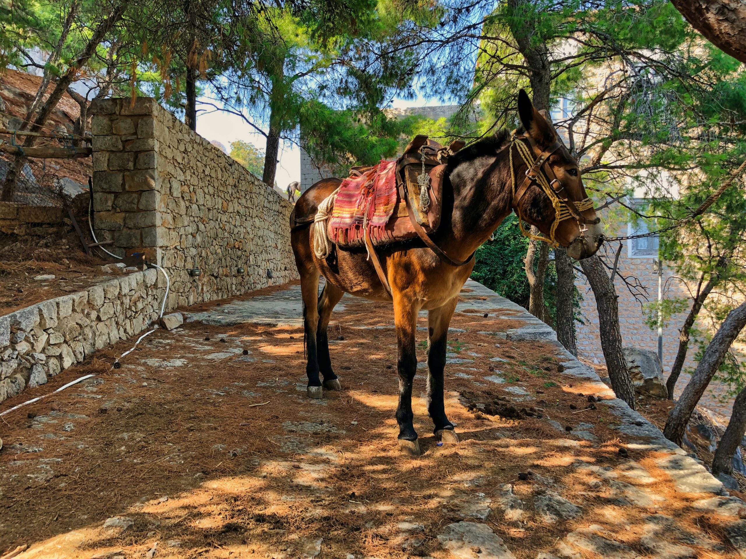 North Evia – Samos Pass: Ξεκινά η 4η φάση την Δευτέρα 26 Σεπτεμβρίου ...